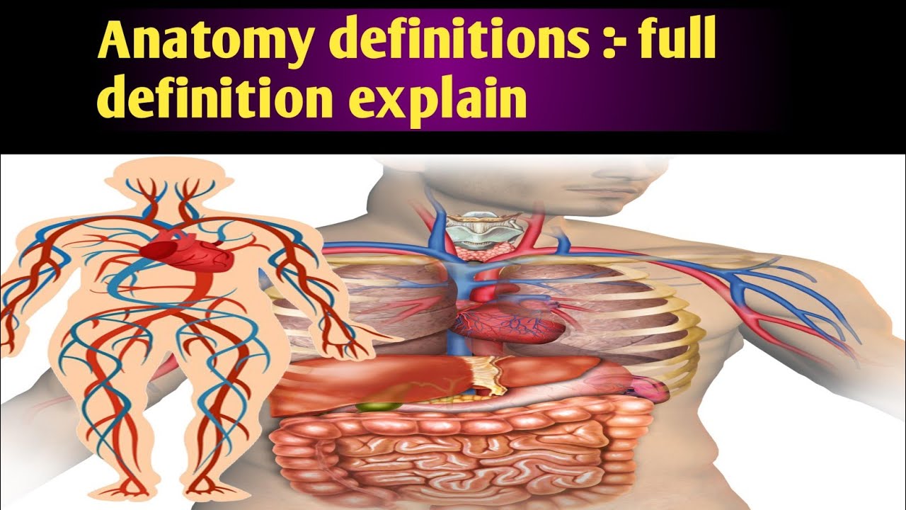what is the definition of anatomy ? 🤔 full definition explaination ...