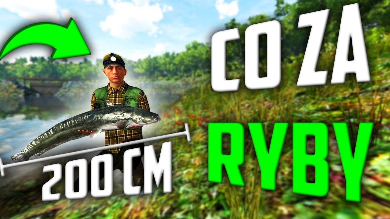 wszystkie ryby na RZEKA TYBER | #16 FISHING PLANET - YouTube