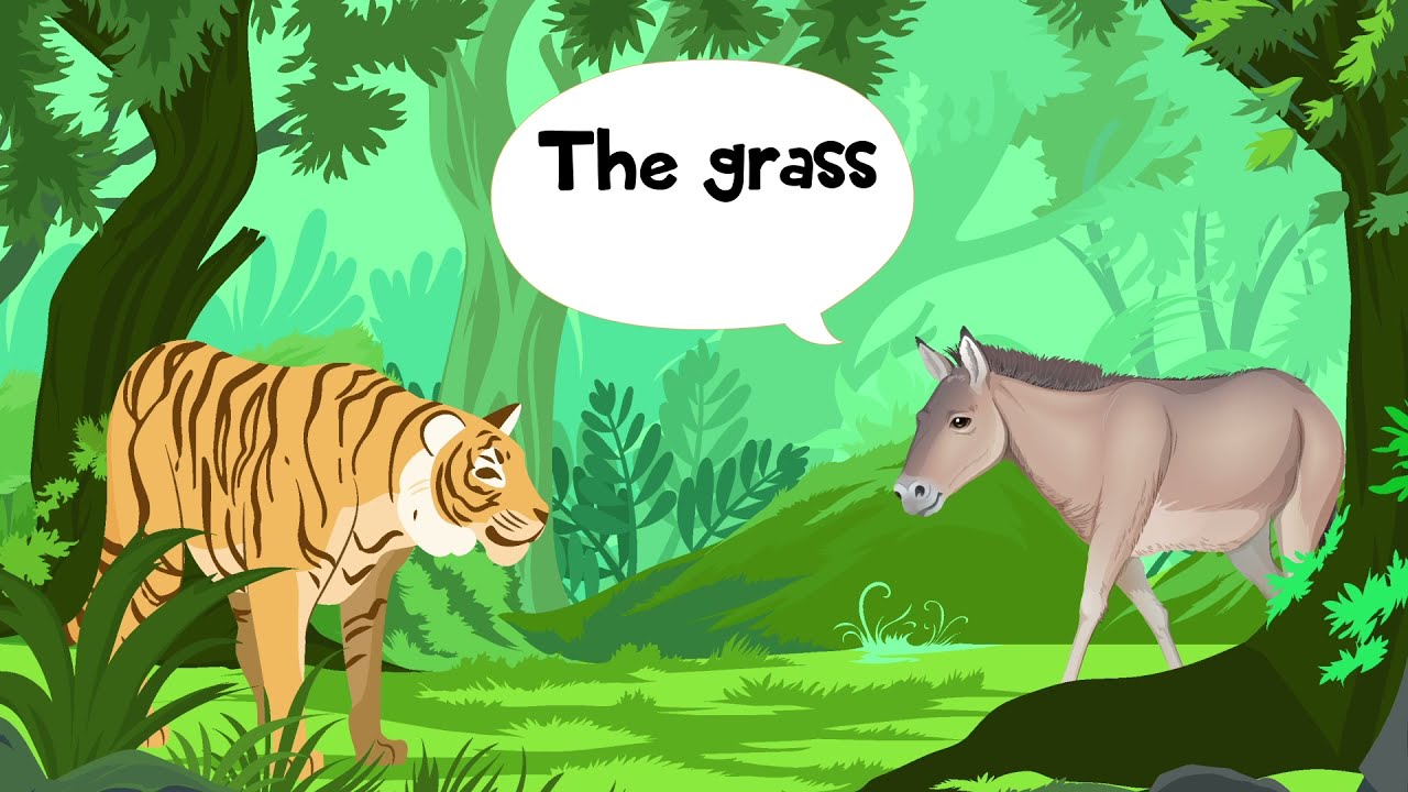 The Donkey and the Tiger - Episode 1 - YouTube