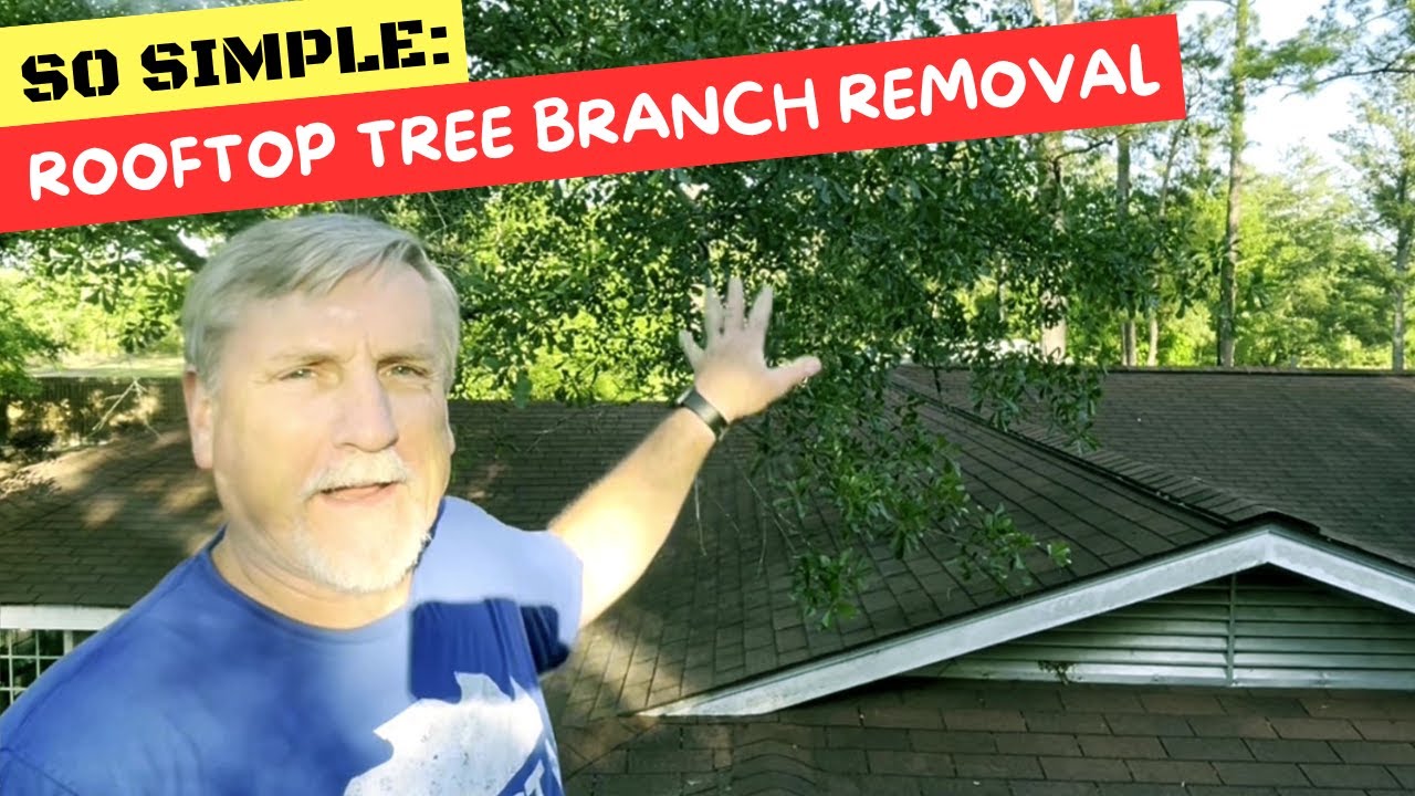 So Simple Rooftop Tree Branch Removal - YouTube