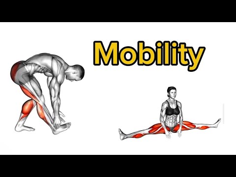 morning mobility stretches /beginner flexibility routine - YouTube