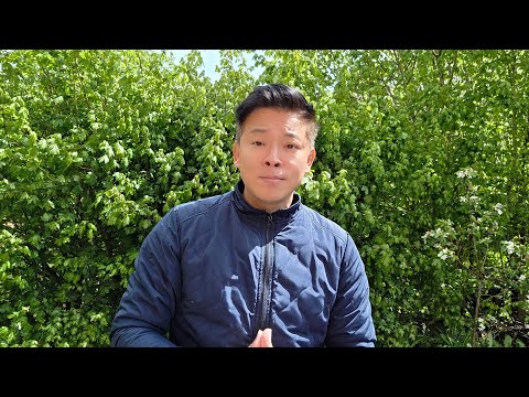 The unusual actions of the US delegation before leaving China - May 16, 2026...