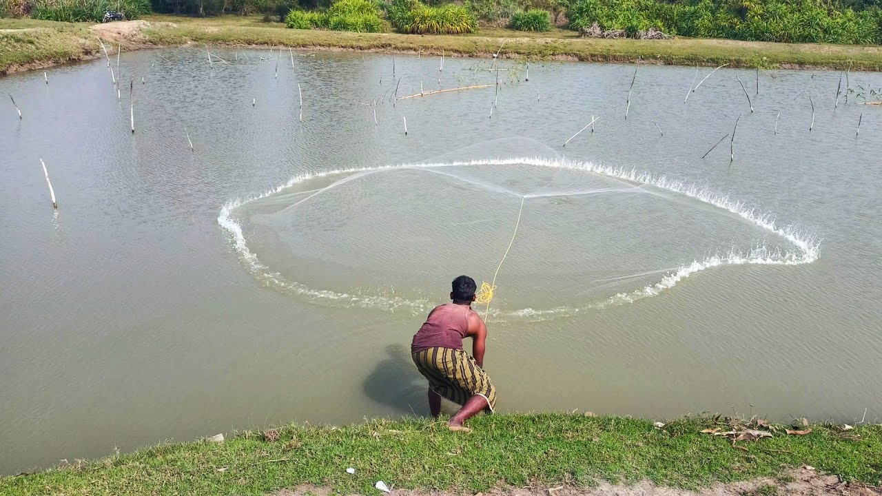 Amazing Net Fishing In River With Beautiful Village Fishing Video - YouTube