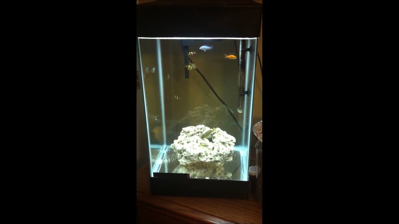 15 Gallon Column Aquarium - YouTube