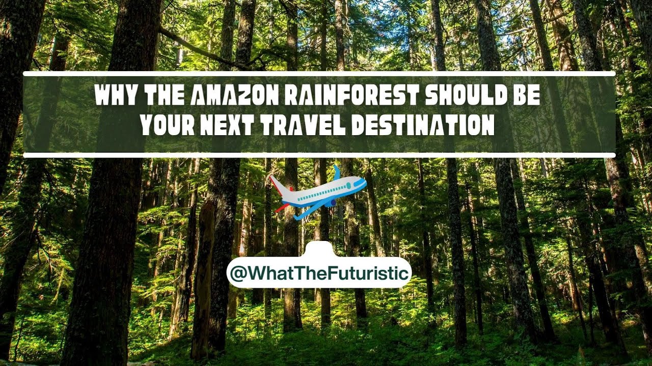 Why the Amazon Rainforest Should Be Your Next Travel Destination - YouTube