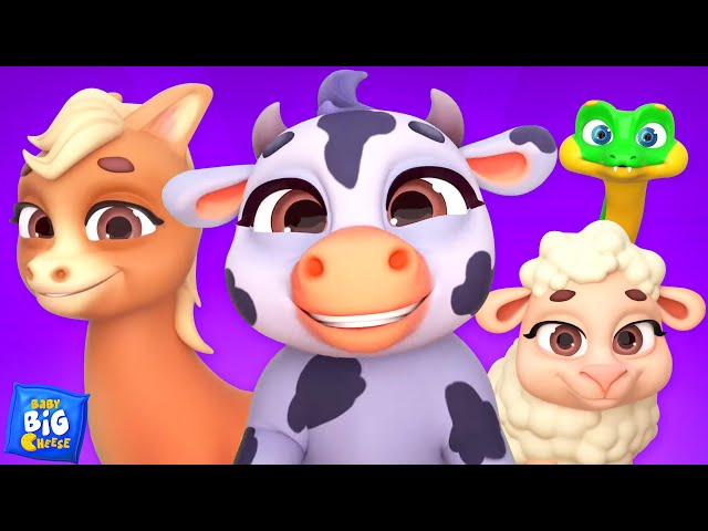 Animal Sound Song + More Animal Cartoon Videos And Kids Song by Baby ...
