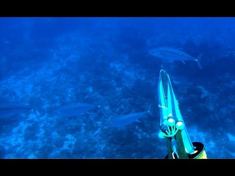Chasse sous-marine Madagascar Thon à dent de chien Mitsio Nosy bé,  Spearfishing Madagascar