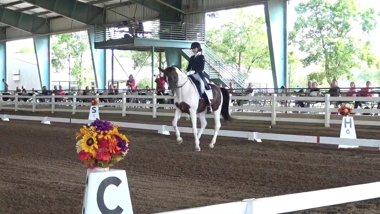 Nora Batchelder & W Gangster Girl - 2019 Region 3 Grand Prix Freestyle ...