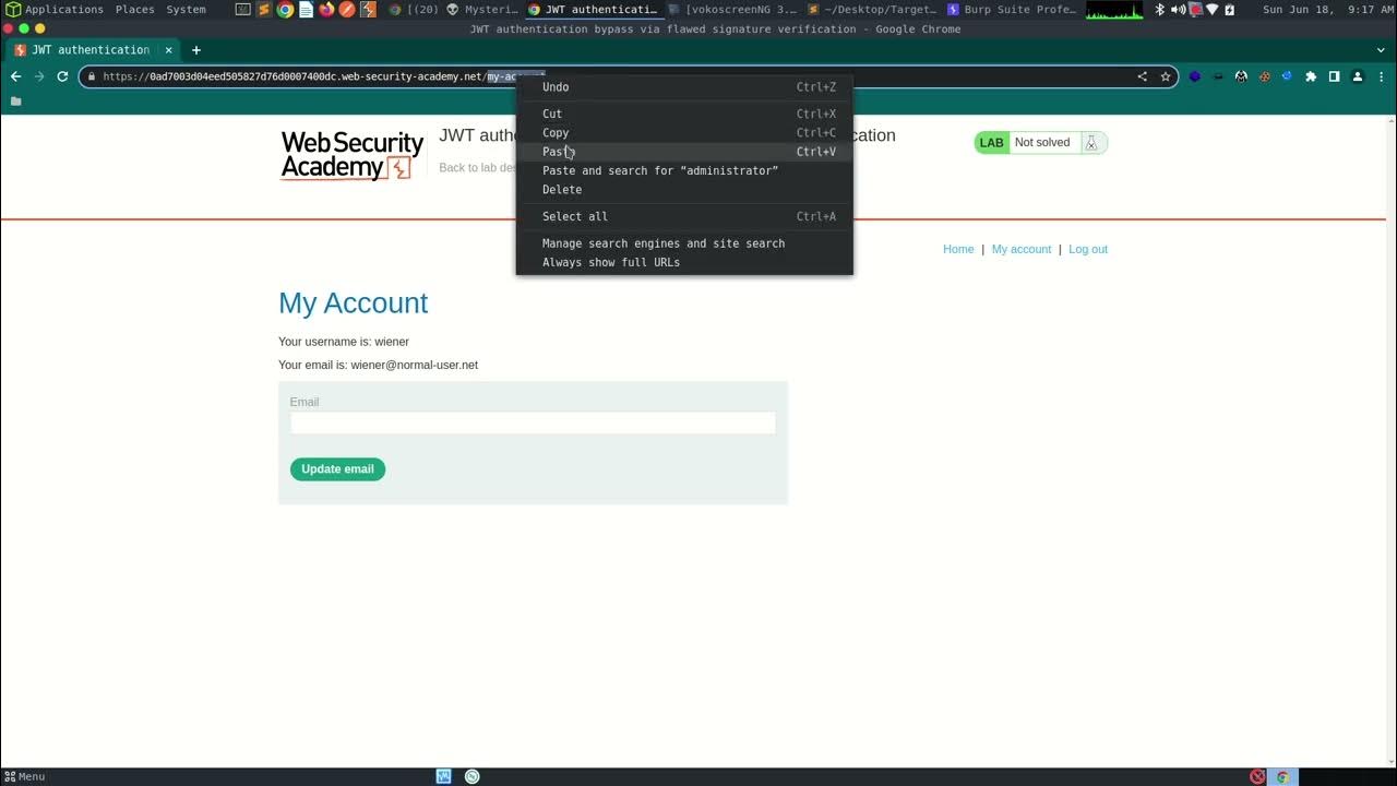 Jwt Authentication Bypass Via Flawed Signature Verification Youtube