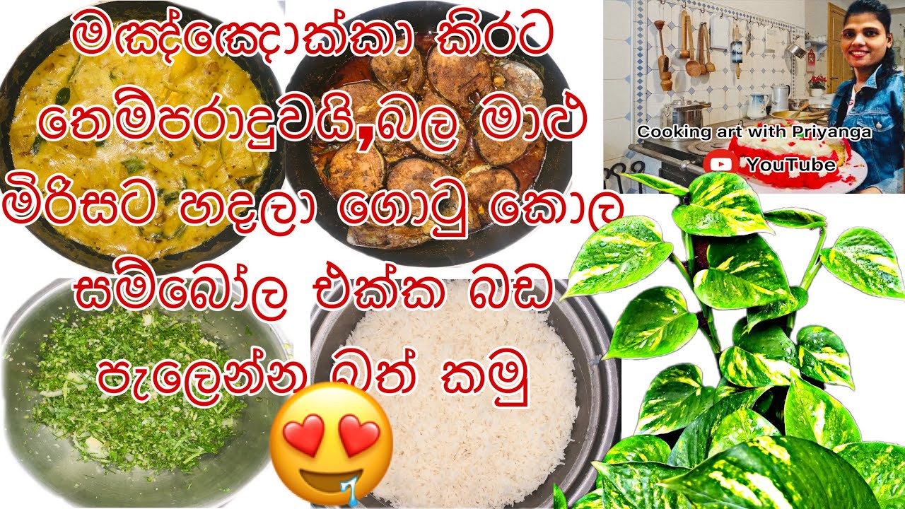 මඤ්ඤොක්කා කිරට තෙම්පරාදු කරලා බඩ පැලෙන්න කන්න පුලුවන් මෙනු එකක්/cassava ...