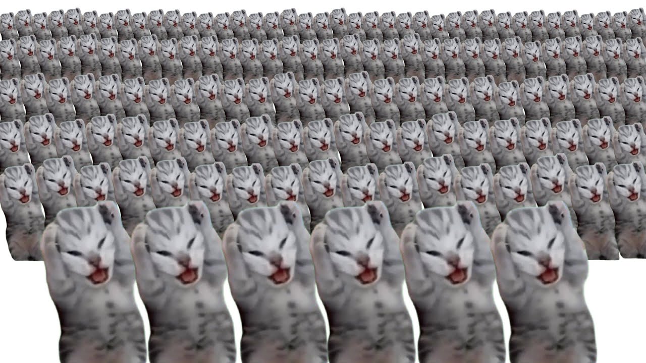 dramatic kitten meme x10000000 - YouTube