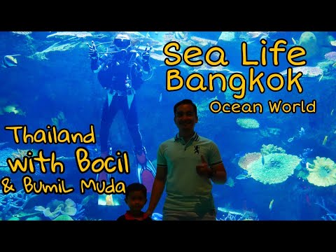 Part 4 || Sea Life Bangkok Ocean World Thailand || with BUMIL muda & BOCIL