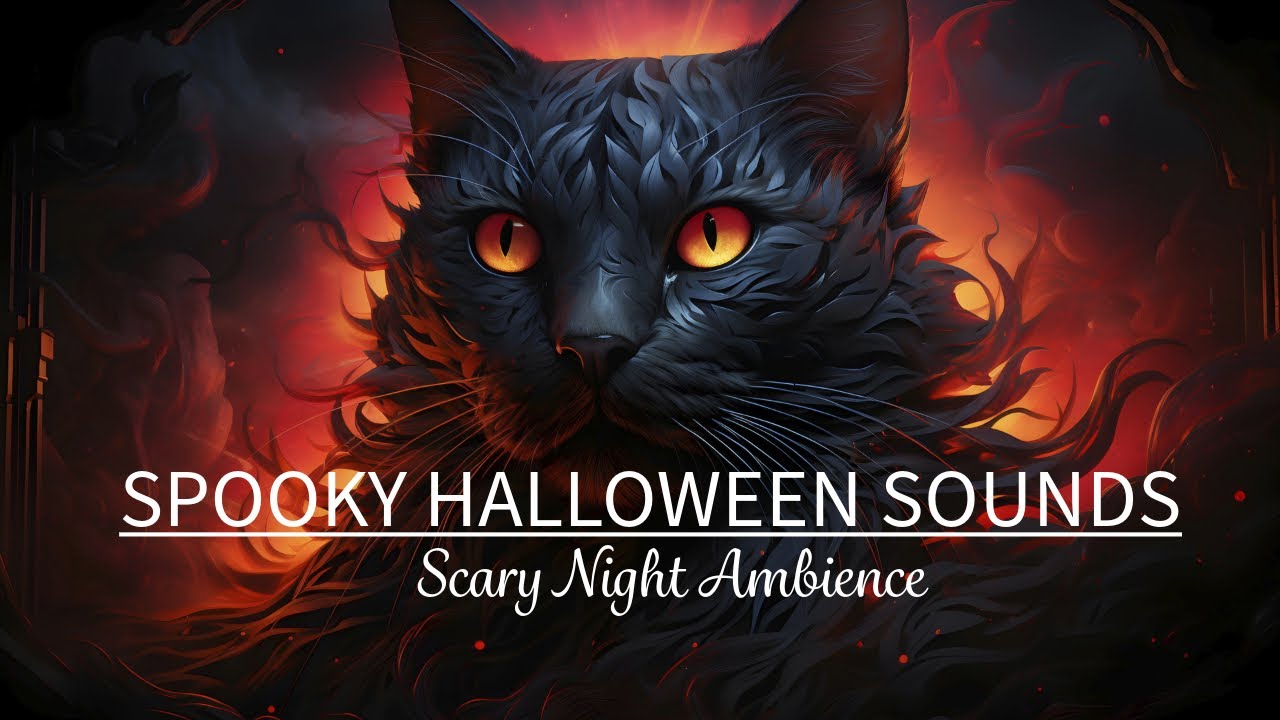 Black Cat Halloween Music 🎃 Scary Party Background Ambience - YouTube