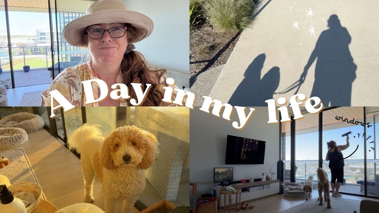 Settling back into routine / cleaning windows / VLOG : 12th December ...