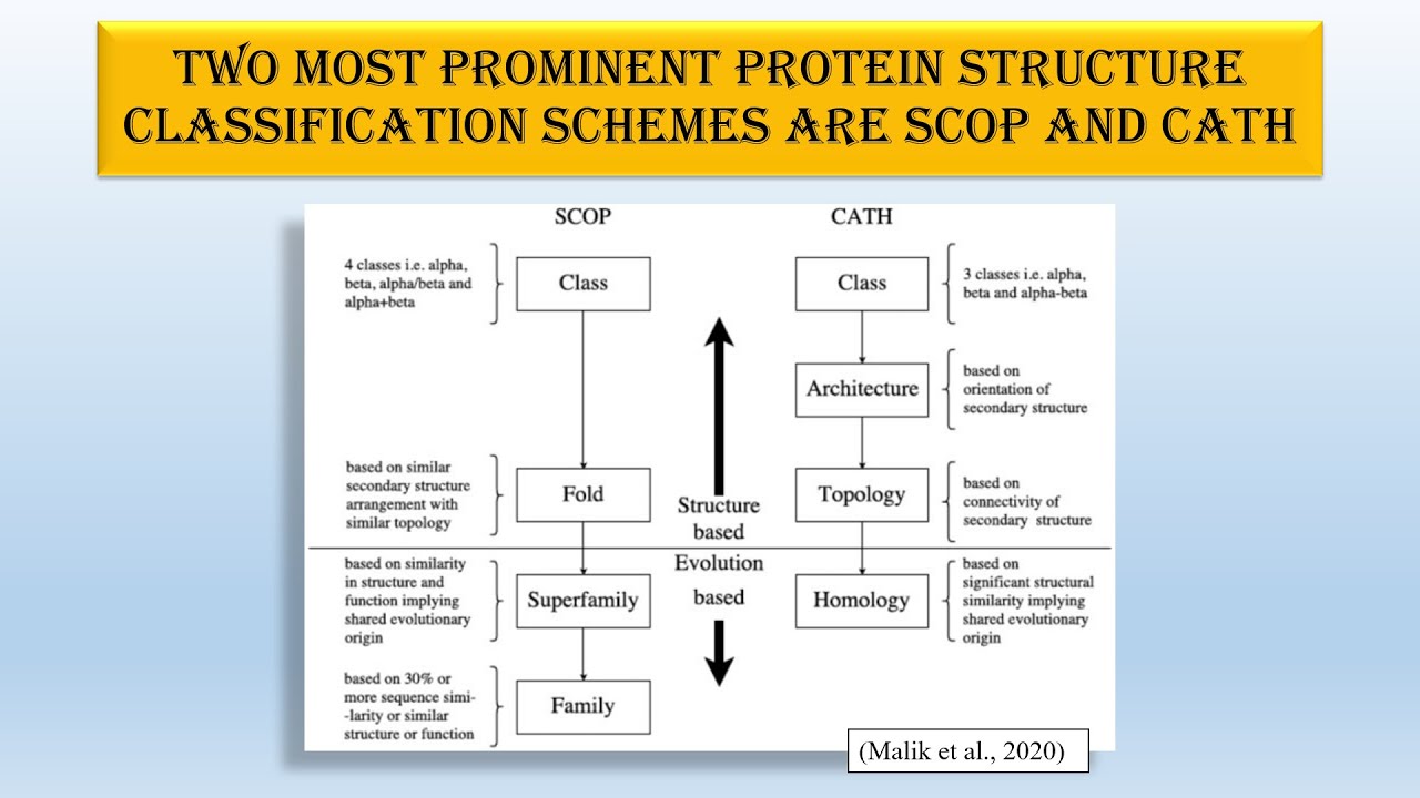 Protein structure classification/domain prediction: SCOP & CATH # ...