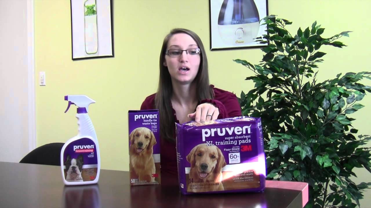Pruven Pet Products by 3M - Official Review - YouTube