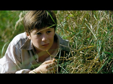 I Am David Full Movie Facts And Story | Ben Tibber | Jim Caviezel - YouTube