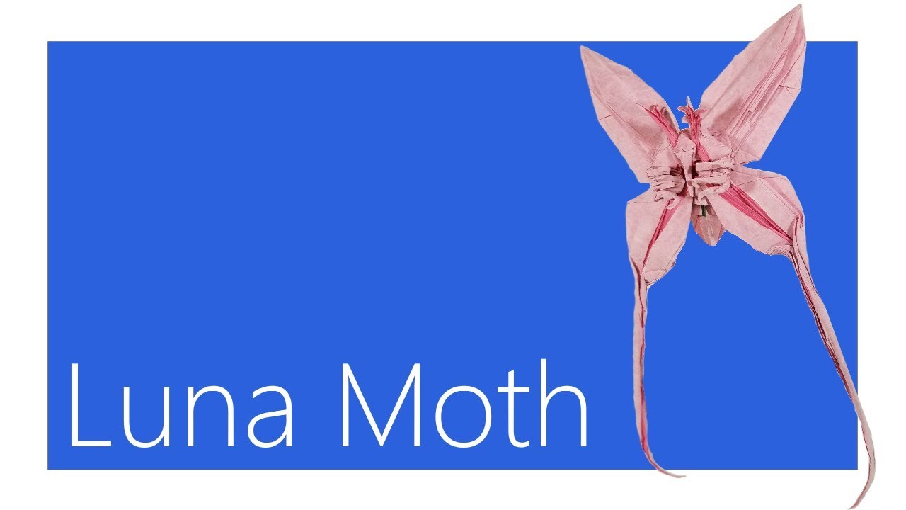 Luna Moth Origami Tutorial (Jason Ku) - YouTube