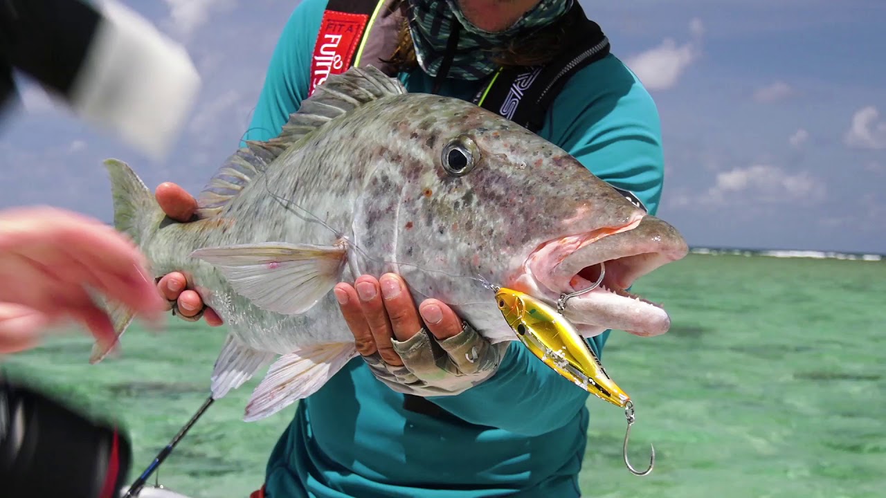 Big Angry Fish TV - NOMAD - Episode 4 - YouTube