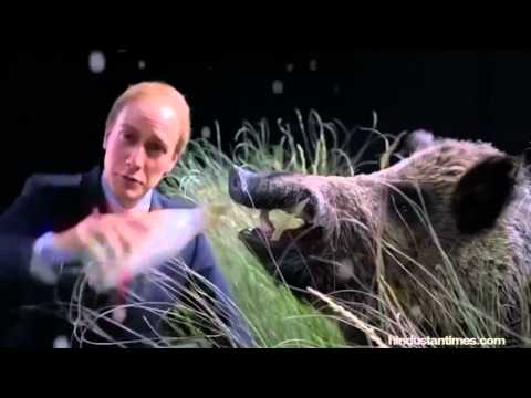 Putin parody goes viral