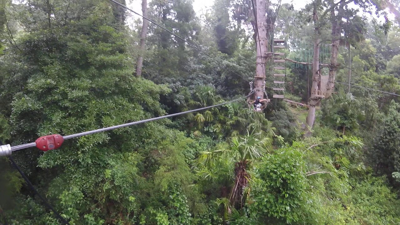 tree adventure Belgrave Mehar 30 - YouTube