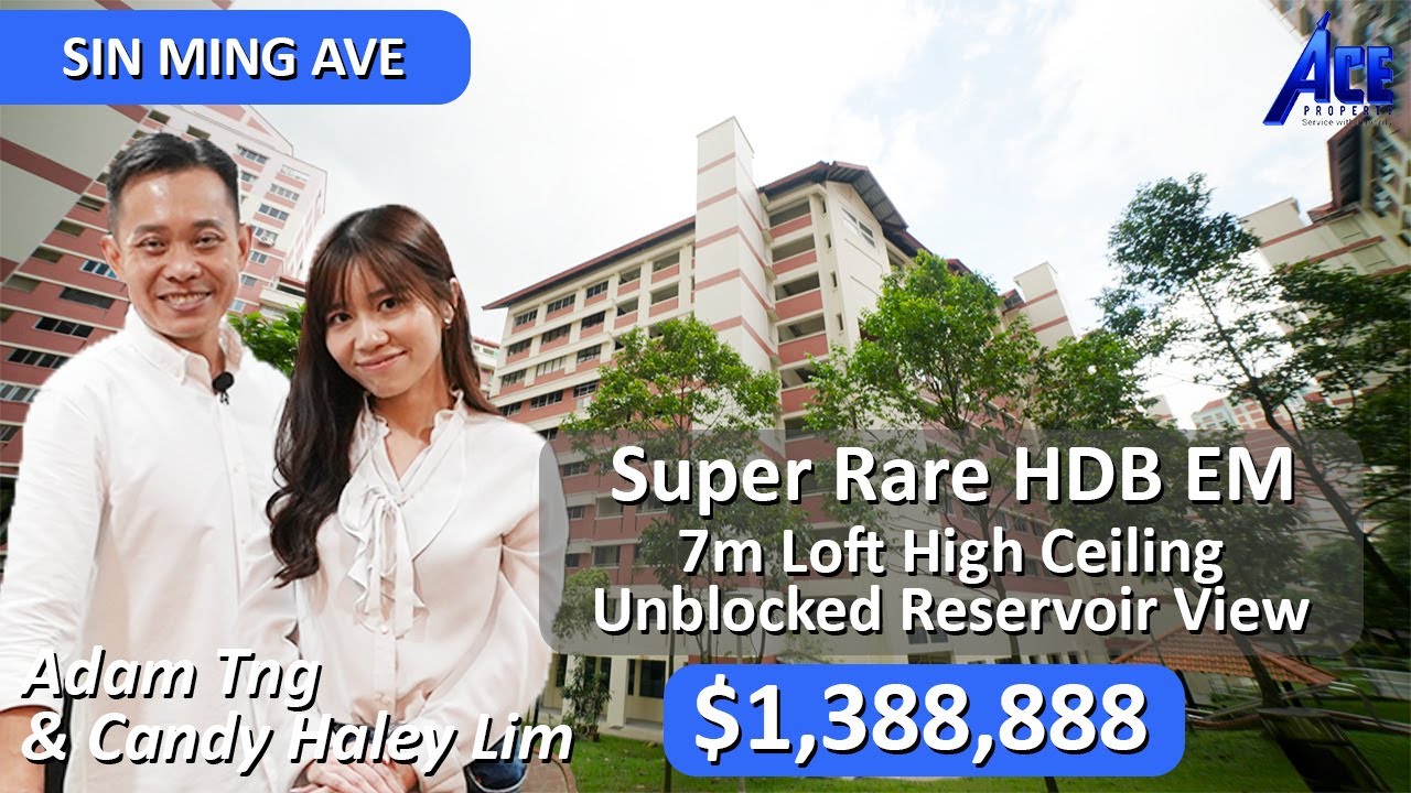 Super Rare HDB EM with 7 meters High Ceiling Loft and Unblocked ...
