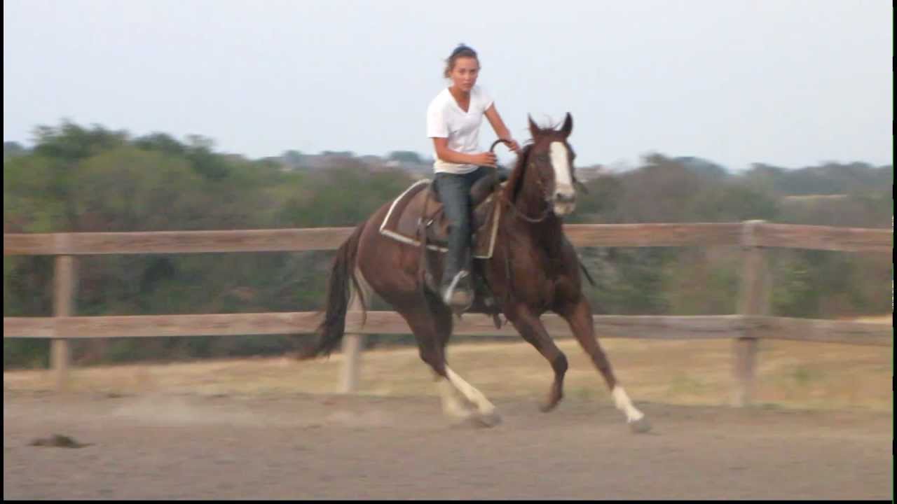 Valley View Ranch - Top Dual - barrels at home 1 - YouTube