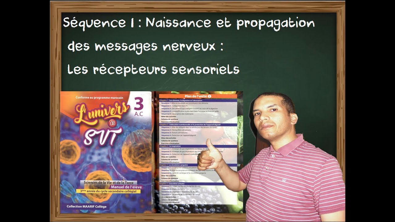 SVT 3AC conséquence 1 Naissance et propagation des messages nerveux les ...