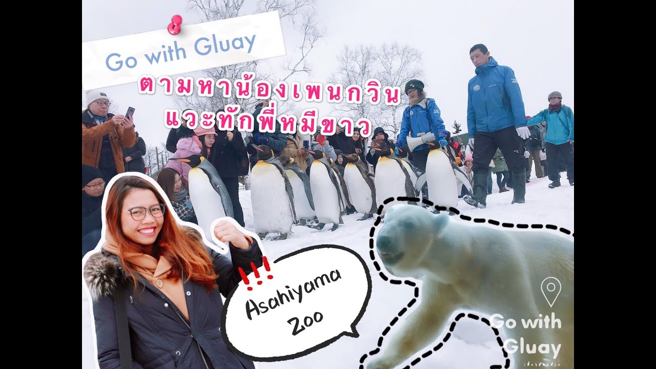 Go with Gluay in Hokkaido : EP 3 - Asahiyama Zoo สวนสัตว์อาซาฮิยาม่า - YouTube