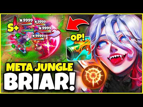 METANIN EN BASİT VE GÜÇLÜ ORMANCISI: BRIAR! (S+ TIER)