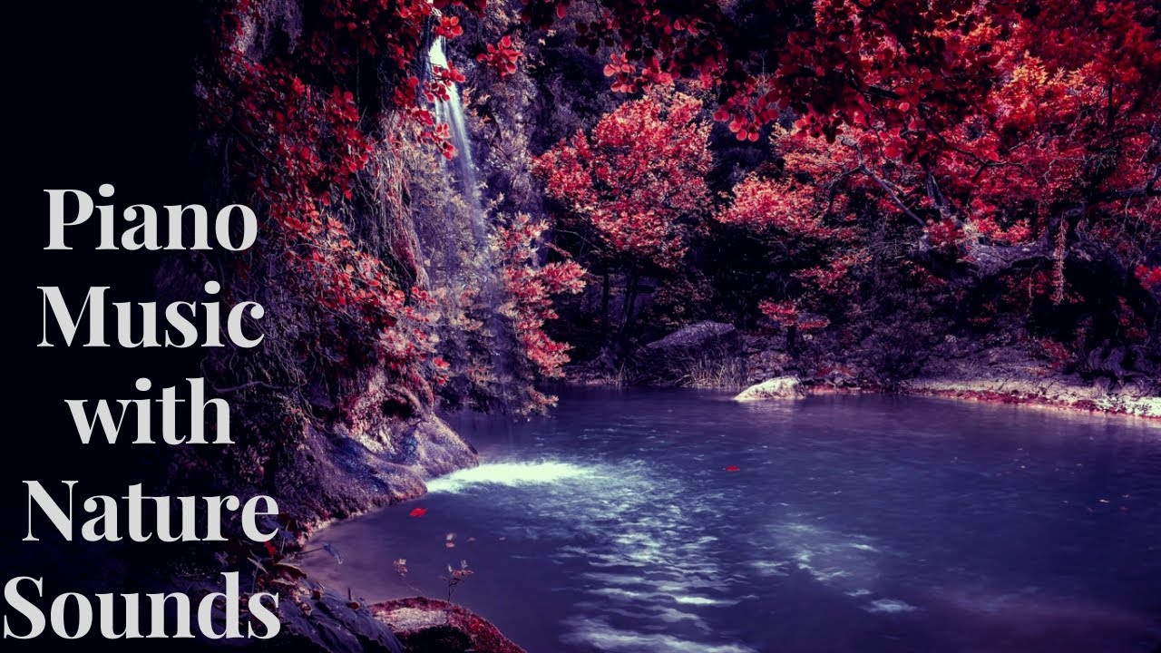 Piano Music with Nature Sounds for Study, Meditation & Sleep - YouTube