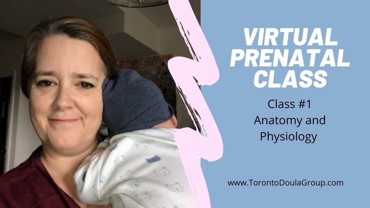 Class #1 Anatomy and Physiology Of Pregnancy and Birth - YouTube