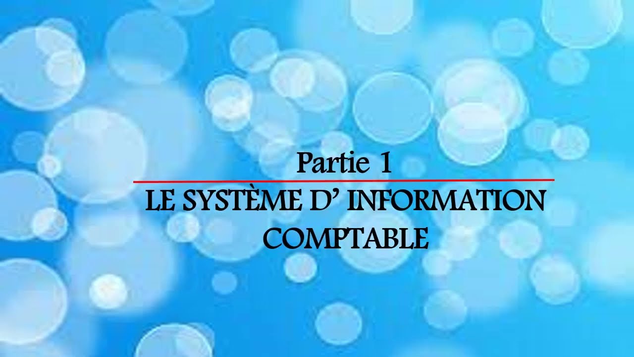 Système d'information comptable partie 1: Comptabilité de gestion et ...