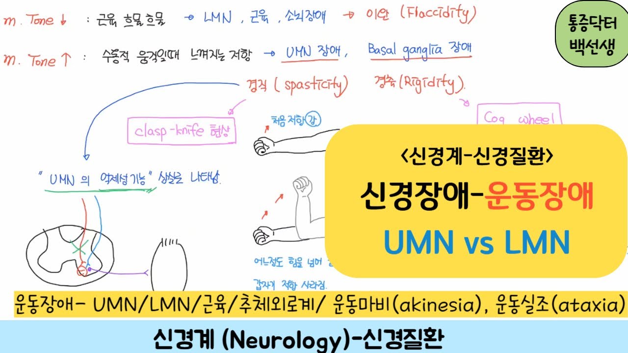 신경장애_운동장애 : UMN lesion vs LMN lesion - YouTube