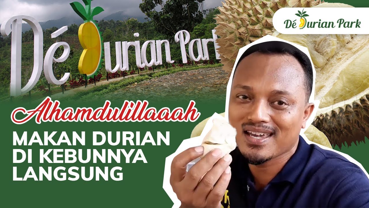 MAKAN DURIAN SEPUASNYA DI DE DURIAN PARK!!! - YouTube