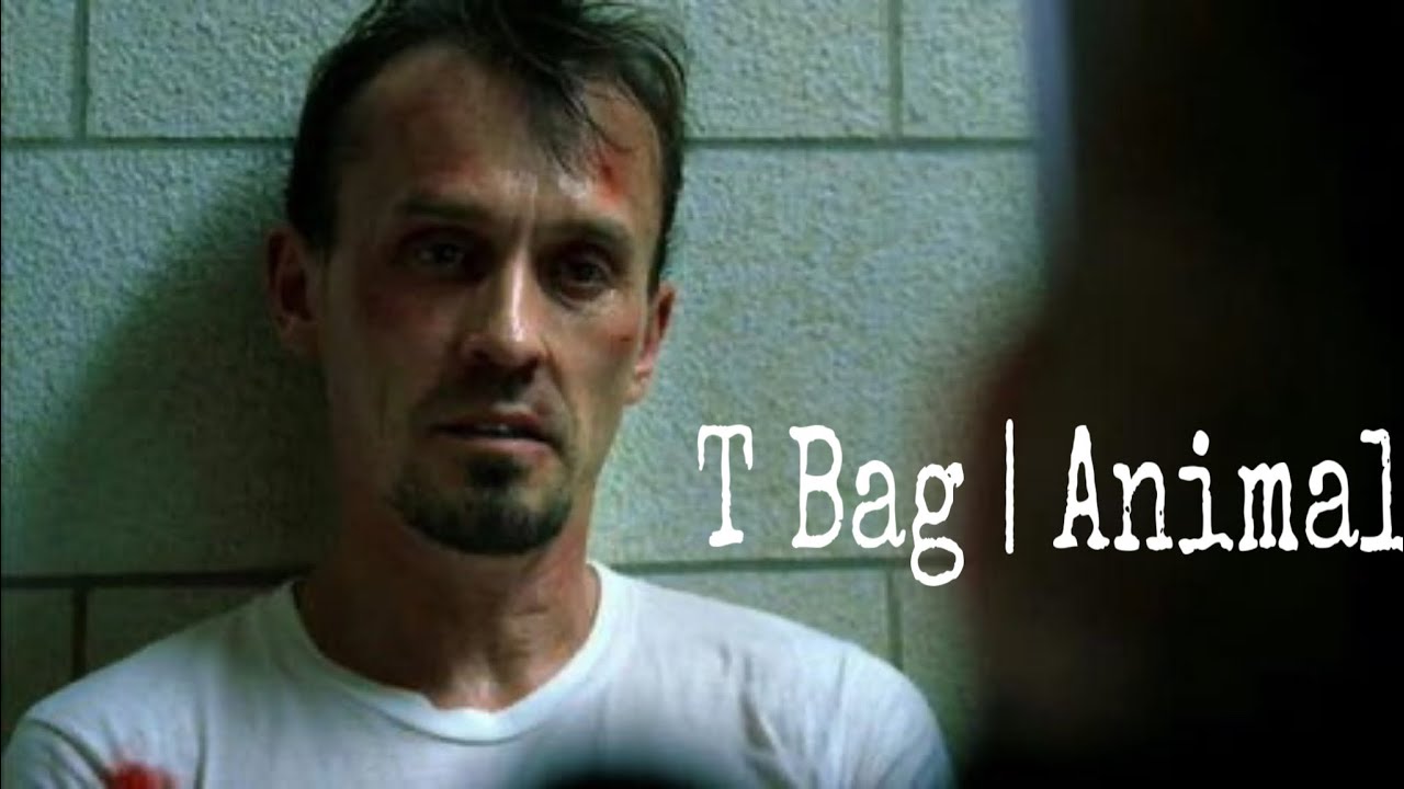 T Bag | Animal - YouTube