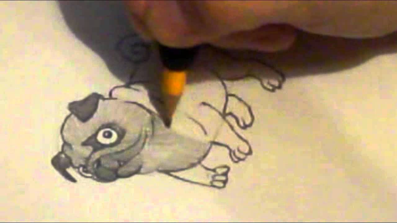 How to draw a cartoon pug - YouTube