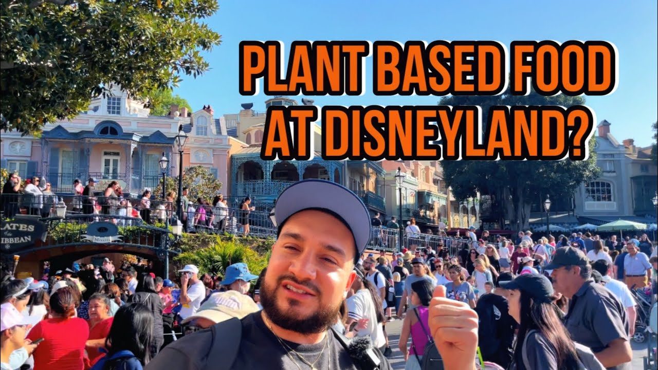 Can Vegans Enjoy Food At Disneyland? | Fantasmic Fire Aftermath ...