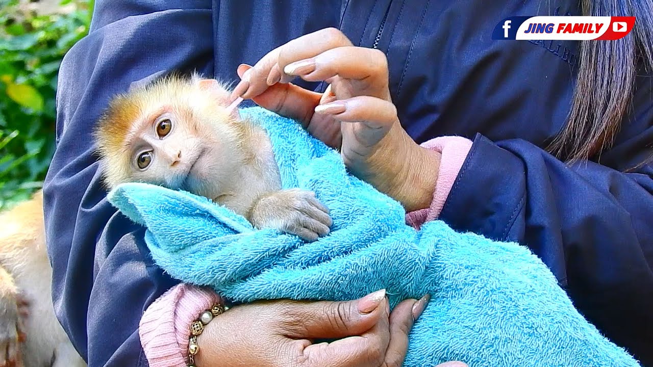 Cute Baby Nico Wants Some Warmth From Mommy!! - YouTube