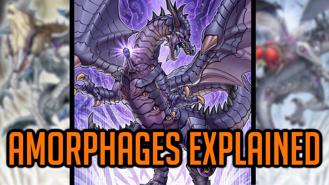 Amorphage Explained In 18 Minutes [Yu-Gi-Oh! Archetype Analysis] - YouTube