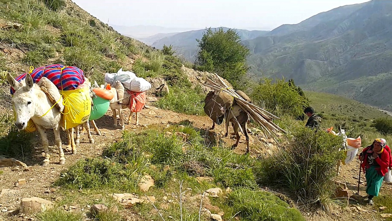 Echoes of the Mountains: The Untold Odyssey of Nomadic Nomads - YouTube