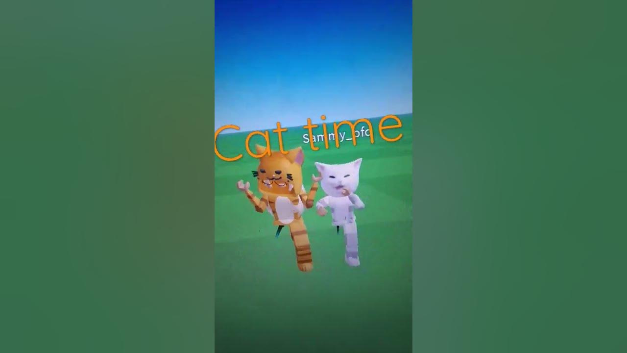 Cat Time YouTube cat-time-youtube