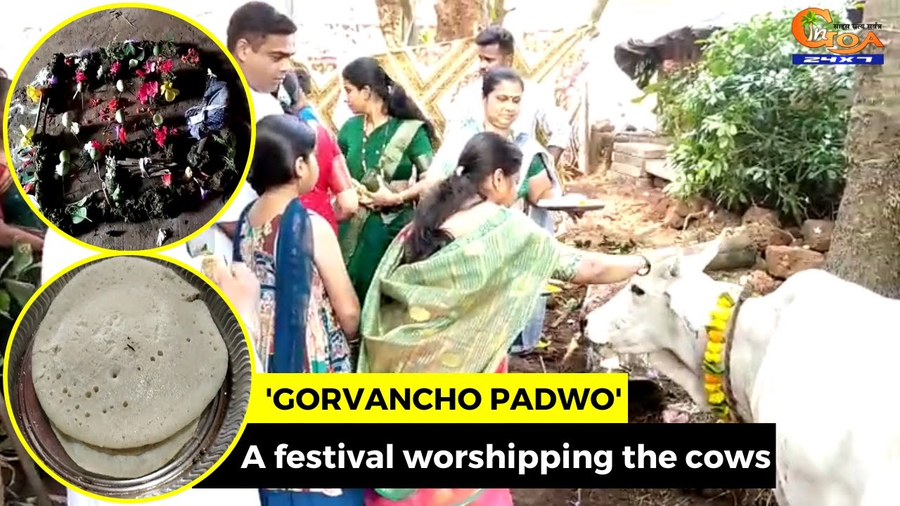 'Gorvancho Padwo'- A festival worshipping the cows - YouTube