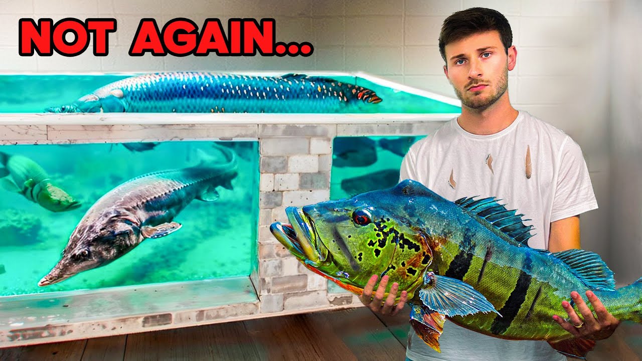 I Found All My Fish DEAD... - YouTube