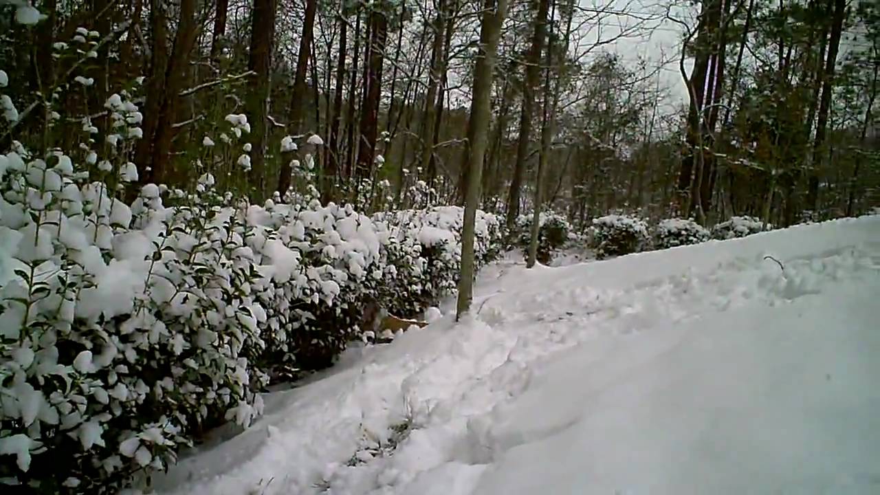 Cardboard box sledding during Snow Day '09 - YouTube