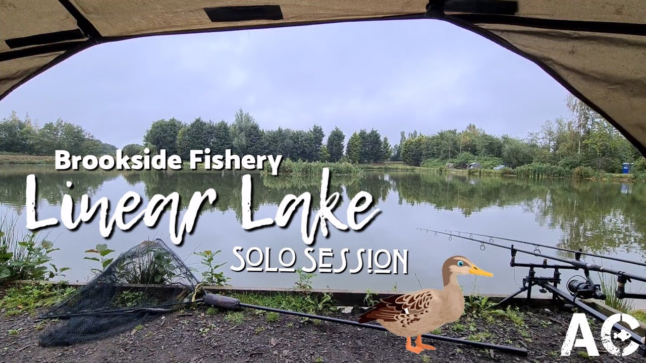 Linear Lake - Solo Session - Brookside Fishery Quest to catch a 20 ...