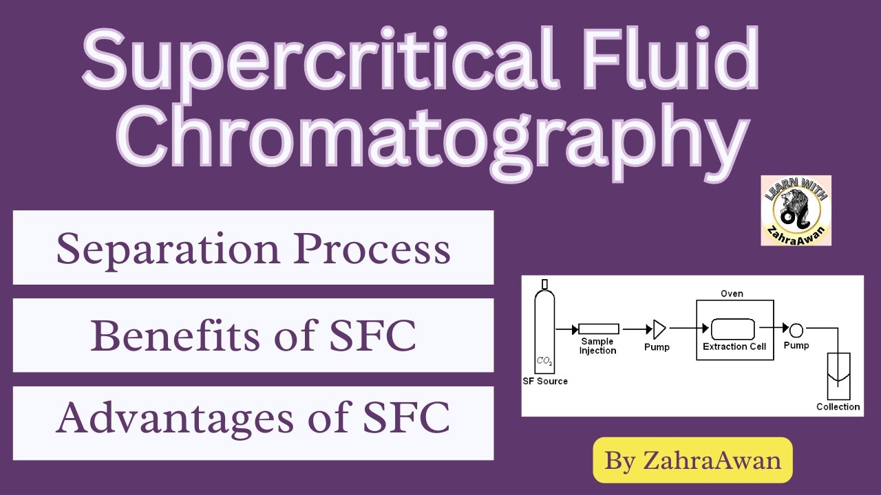 Separation Process in Supercritical Fluid Chromatography | Separation ...