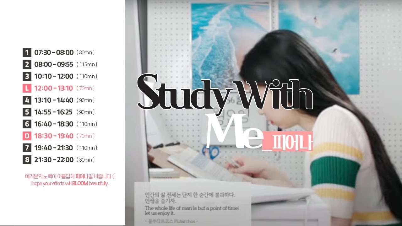 Study with Me / 스터디윗미 / Live / 실시간 / 모닥불ASMR - YouTube