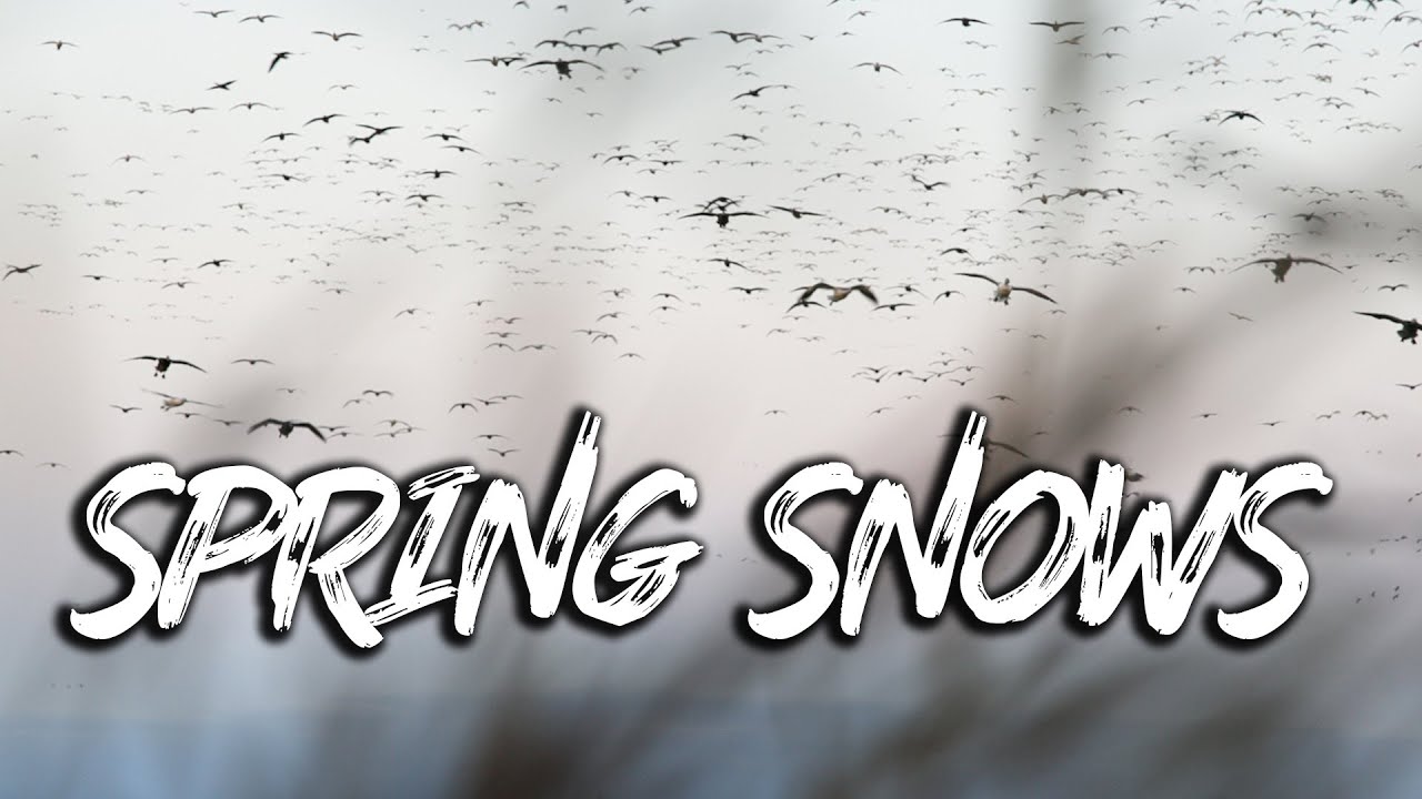 Beau Hunting "Smacking Spring Snows Over Clones" - YouTube