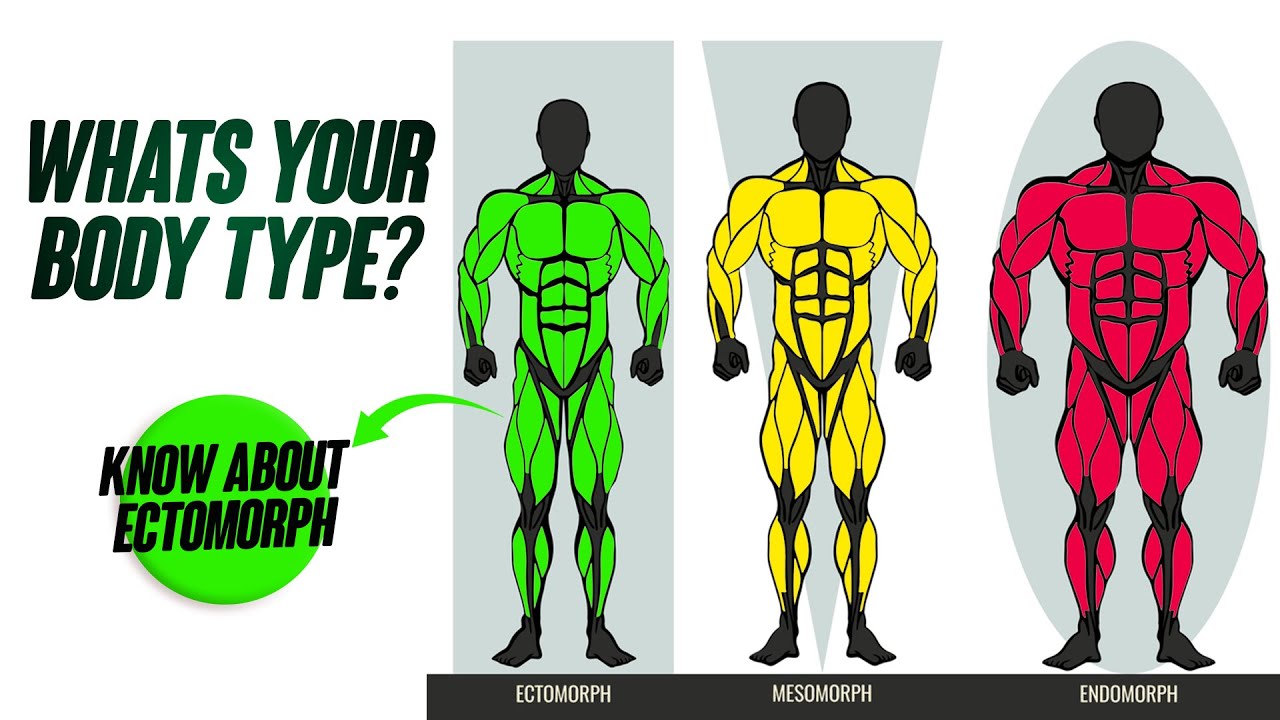 Whats your Body Type ? Best Diet and Workout For Your Body Type ...